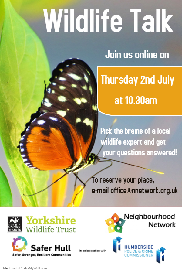 Wildlife Talk poster | Neighbourhood Network Hull