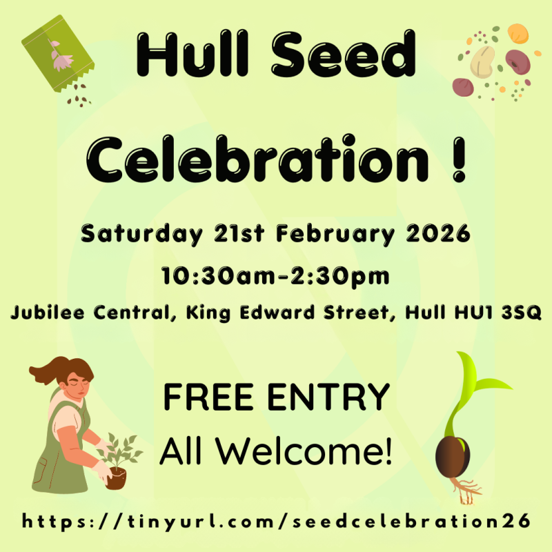 Hull Seed Celebration Event | Neighbourhood Network Hull